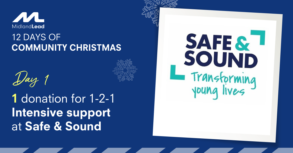 12 Days of Christmas Community Giving - Midland Lead